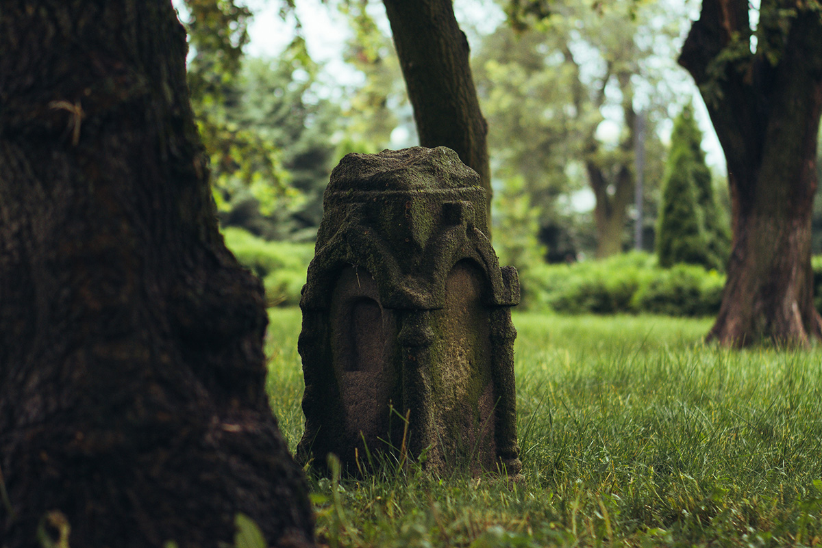 Green Funerals in Sydney: Your Guide to Natural Burials and Earth ...